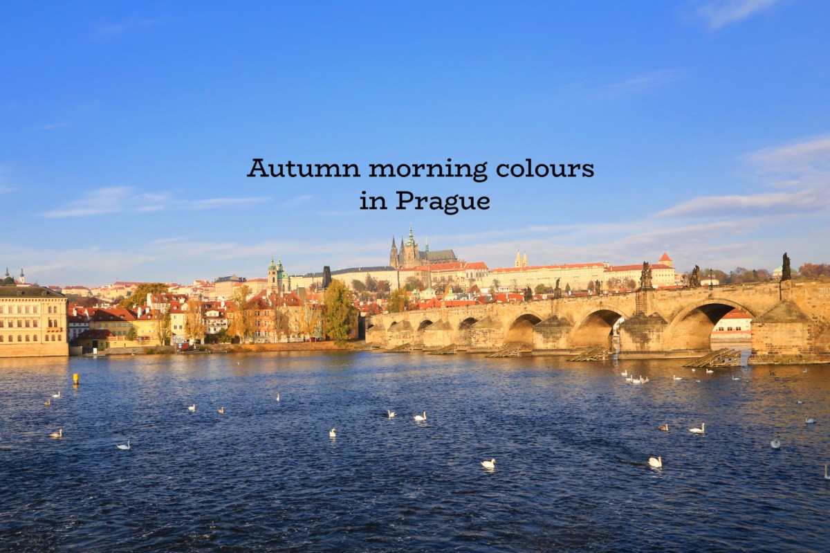My Prague: autumn colours in the Czech capital | Fotoeins Fotografie
