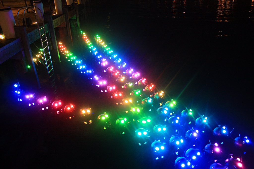 Glowing beady-eyed RATS in Sydney | Fotoeins Fotografie