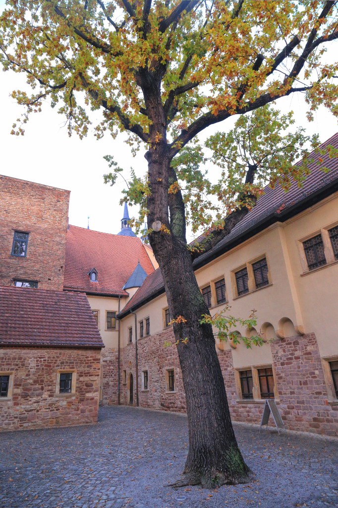 Eisleben: Luther’s birth and death sites, UNESCO WHS | Fotoeins Fotografie