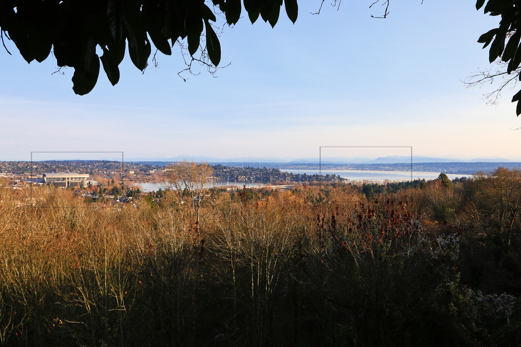 Seattle Lake View: Bruce & Brandon Lee | Fotoeins Fotografie