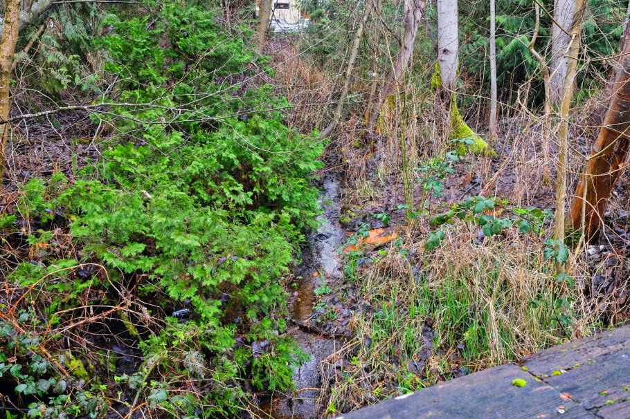 Seattle: Licton Springs indigenous landmark | Fotoeins Fotografie