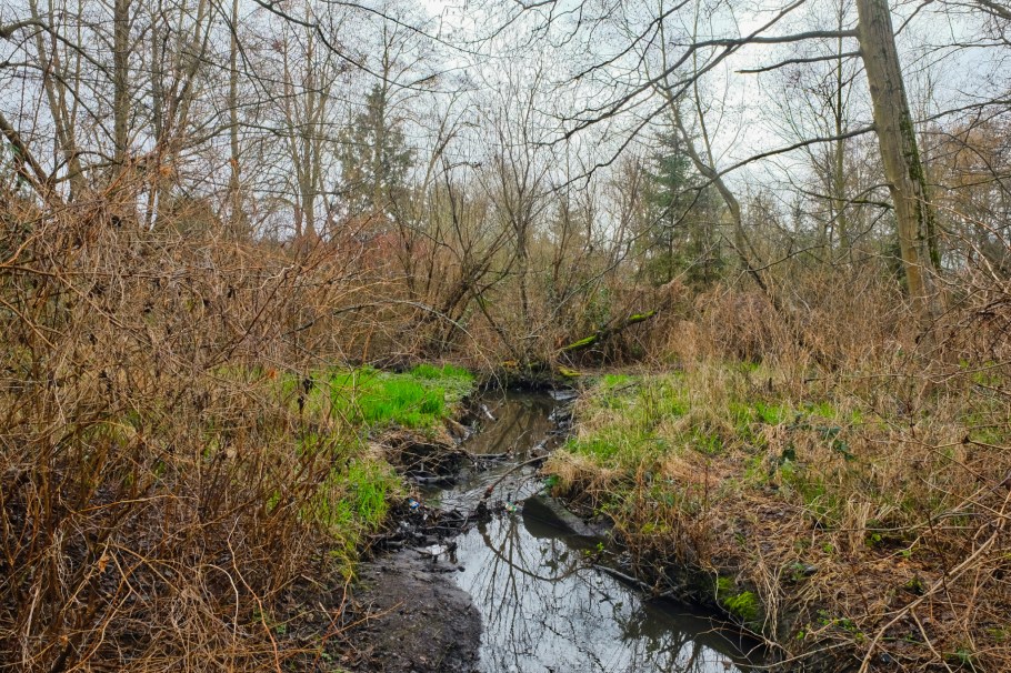 Seattle: Licton Springs indigenous landmark | Fotoeins Fotografie